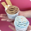 Best Ice Cream In The United States - Cauldron Ice Cream